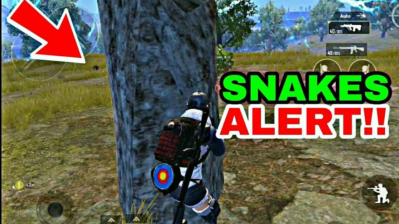 [AMG BRABUS]SNAKEs EVERYWHERE FULL OPEN ZONE - YouTube