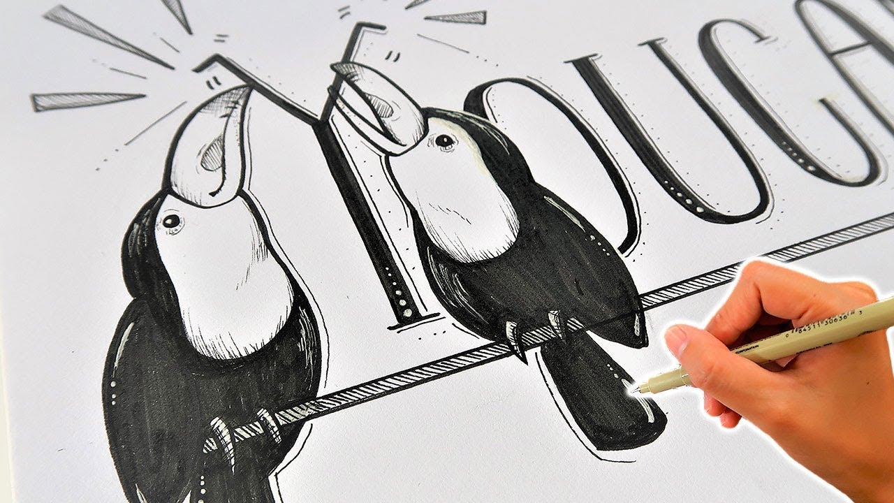 Toucan Drawing | Fun Quote with Toucan Art - YouTube