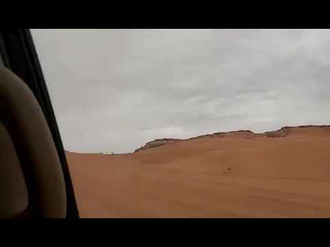 Ima li života u pustinji???Dubai!@SVETBIOLOGIJE - YouTube