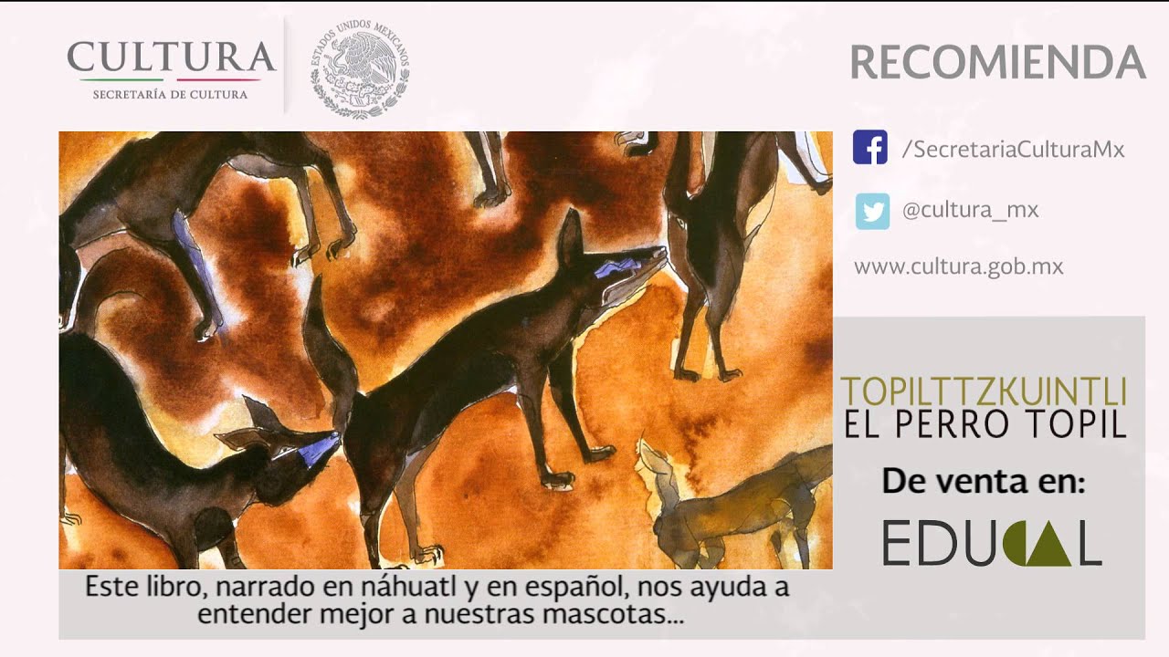 Sugerencia de Iibro Topilitzkuintli, El Perro Topil - YouTube