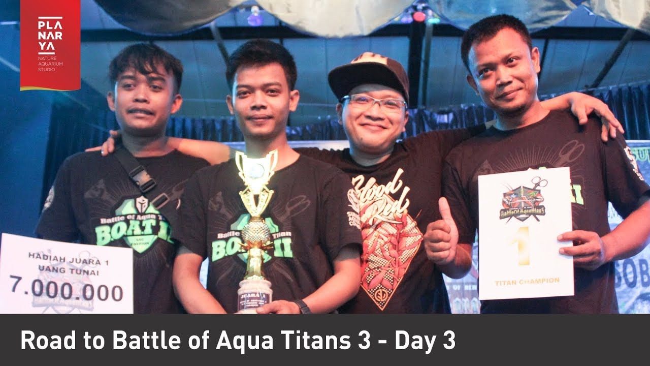 AQUASCAPE CONTEST - Day 3 Road to Battle of Aqua Titans 3 - YouTube