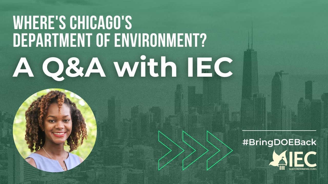 Where's Chicago's Department of Environment? - YouTube