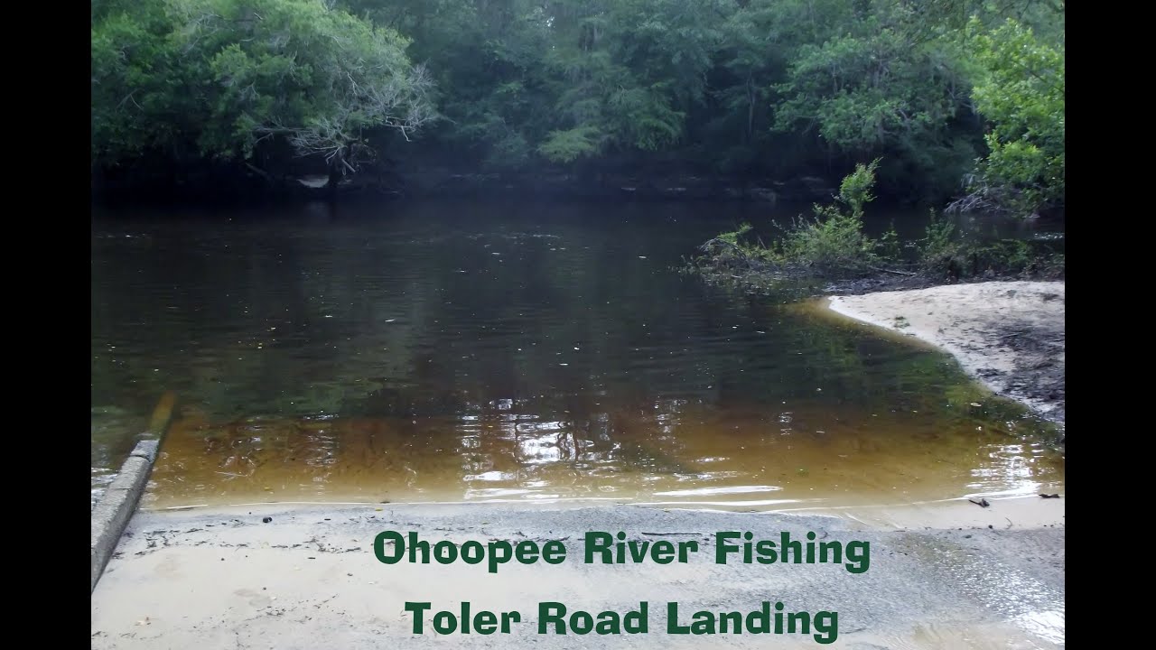 Ohoopee River Fishing Trip - Redbreast Toler Road Landing - YouTube