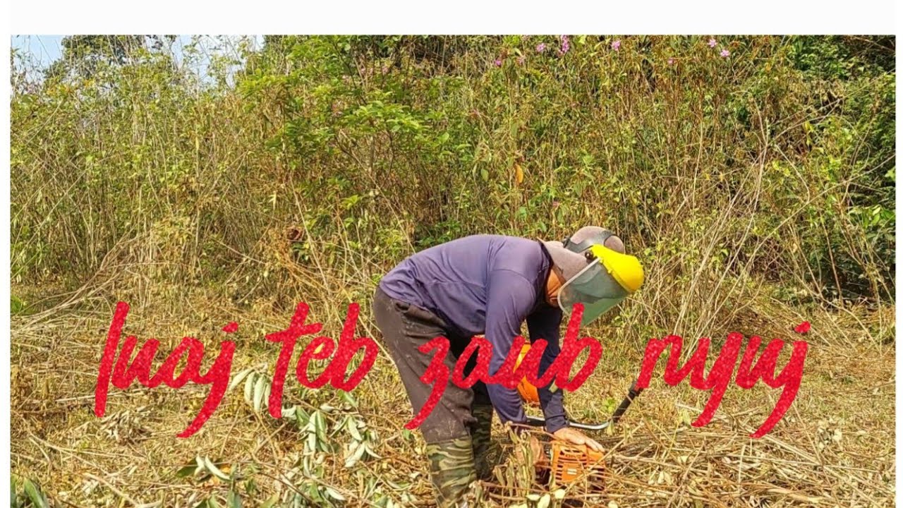 12.5.2023.luaj teb zaub nyuj - YouTube