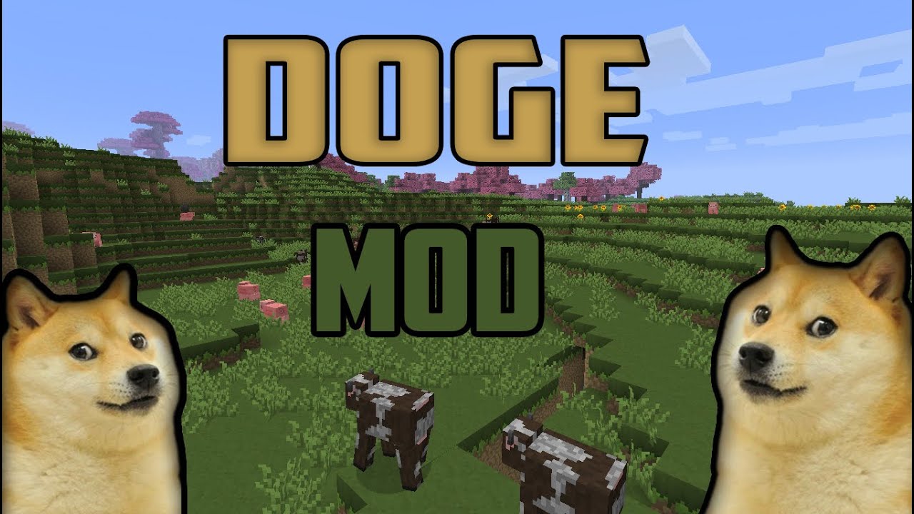 Doge Mod | Shibe en Minecraft!!!! | 1.6.4 - 1.7.2 - 1.7.10 - 1.8 - YouTube