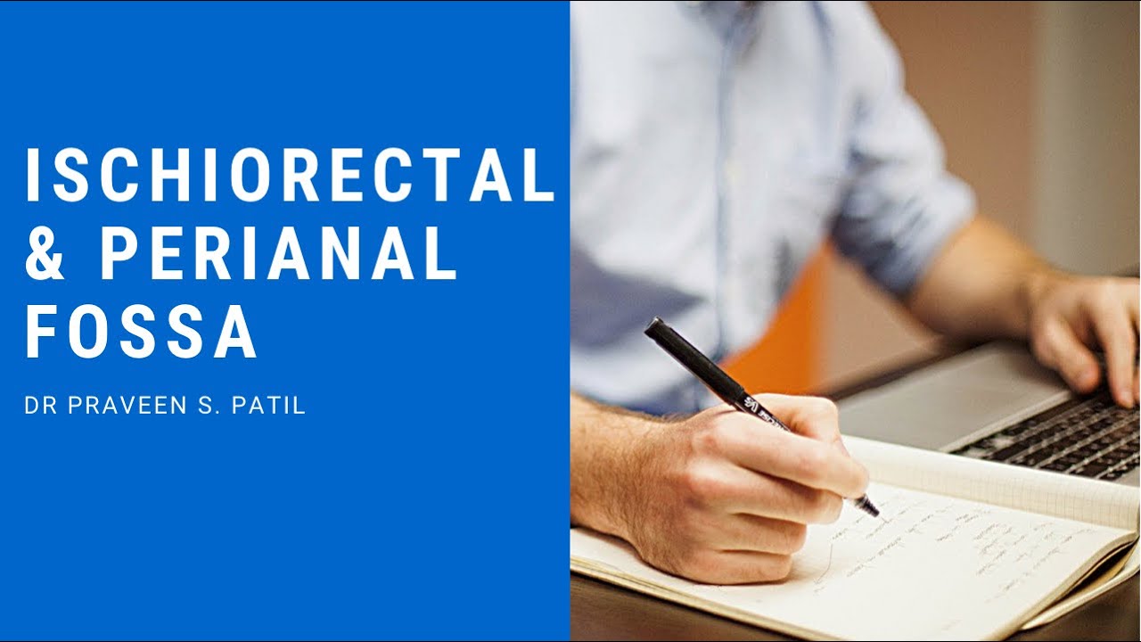 ISCHIORECTAL FOSSA | PERIANAL SPACE | ISCHIORECTAL SPACE - YouTube