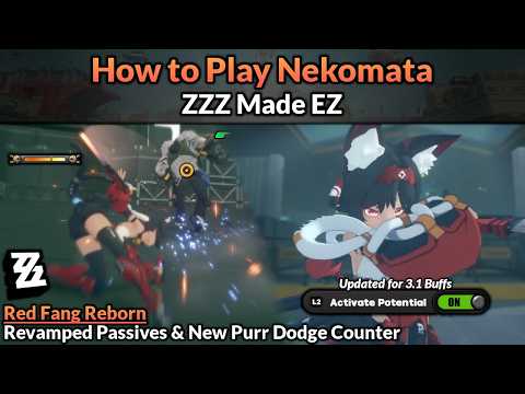 How to Play Nekomata [3.1 Rework] (Main Mechanics, Builds, & Teams Full Guide) | ZZZ Made EZ