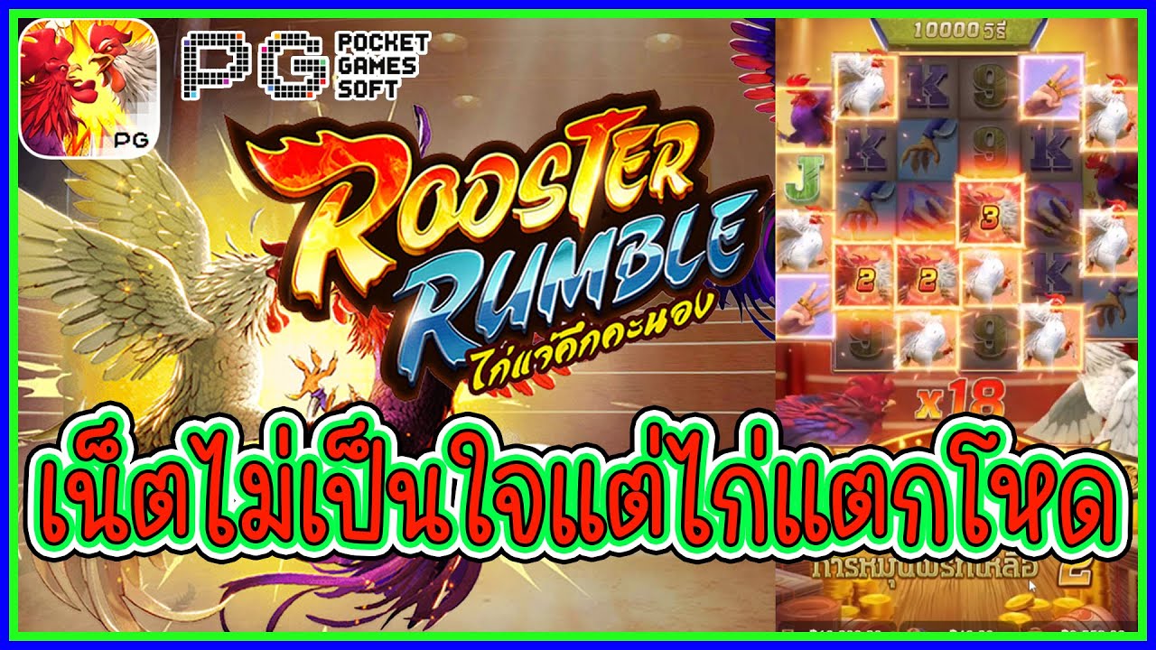 Rooster Rumble ไก่แจ้คึกคะนอง : เน็ตไม่เป็นใจแต่ไก่แตกโหด!!!! - YouTube