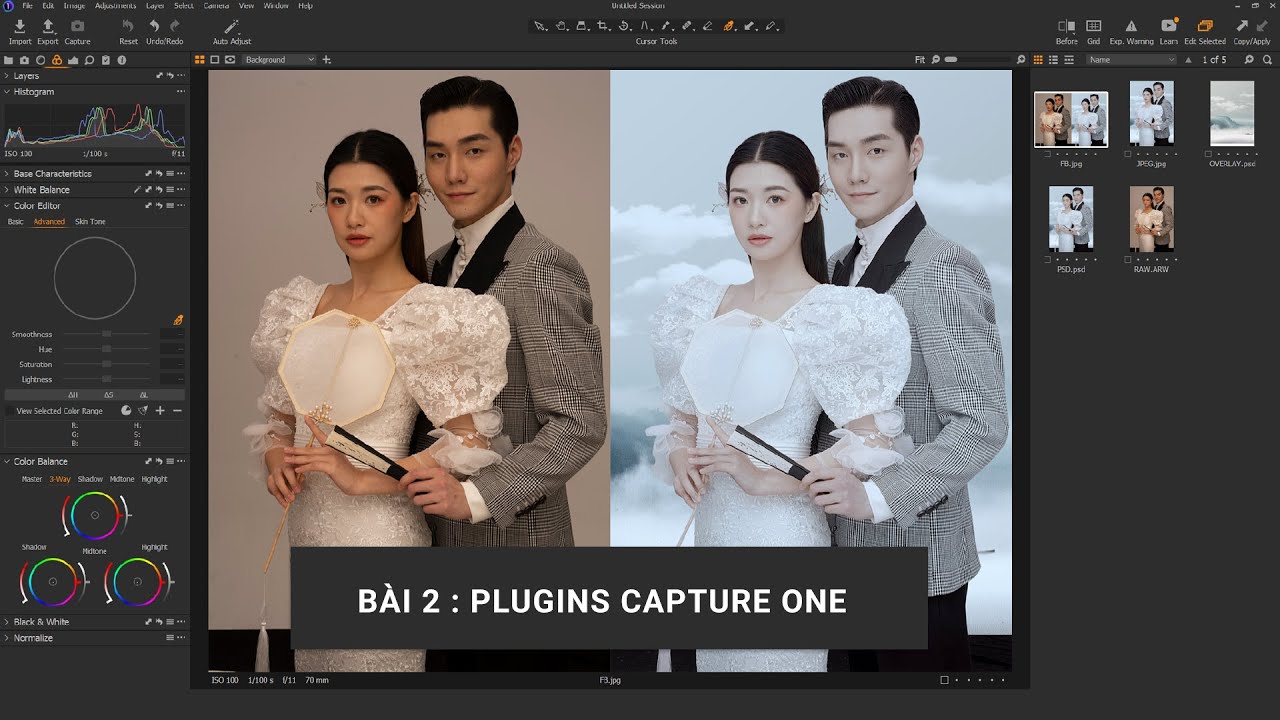 Capture One Bài 2 : Hướng dẫn sử dụng Plugins Capture One Retouching | MAGICBOX.VN - YouTube