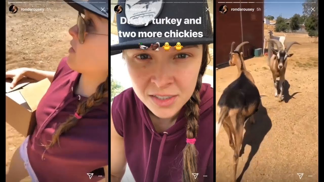 Ronda Rousey shows around her Farm with Animals - YouTube