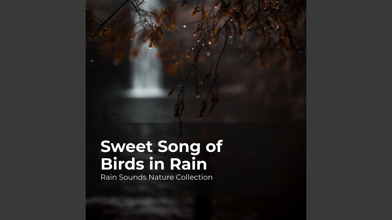 Singing Birds in Skyfall - YouTube
