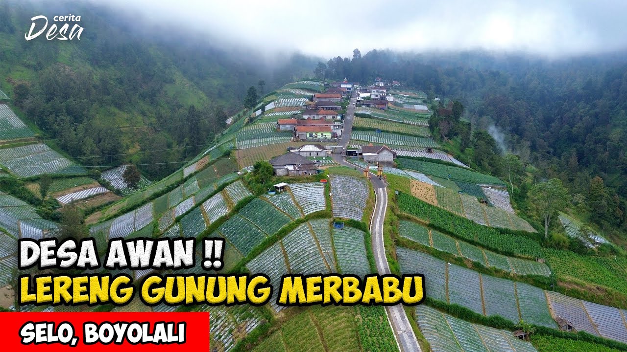 DESA DI ATAS AWAN !! SUASANA DESA LERENG MERBABU - Cerita Desa ...