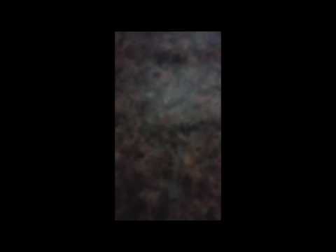 BGC TEA EXPOSED - FULL PERISCOPE