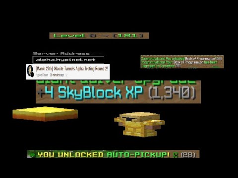 the (alpha) hypixel skyblock experience (hypixel skyblock) - YouTube