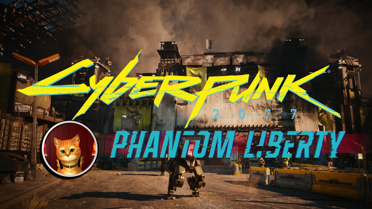 In the Dark Future... A Cat Took Another Path. - YouTube