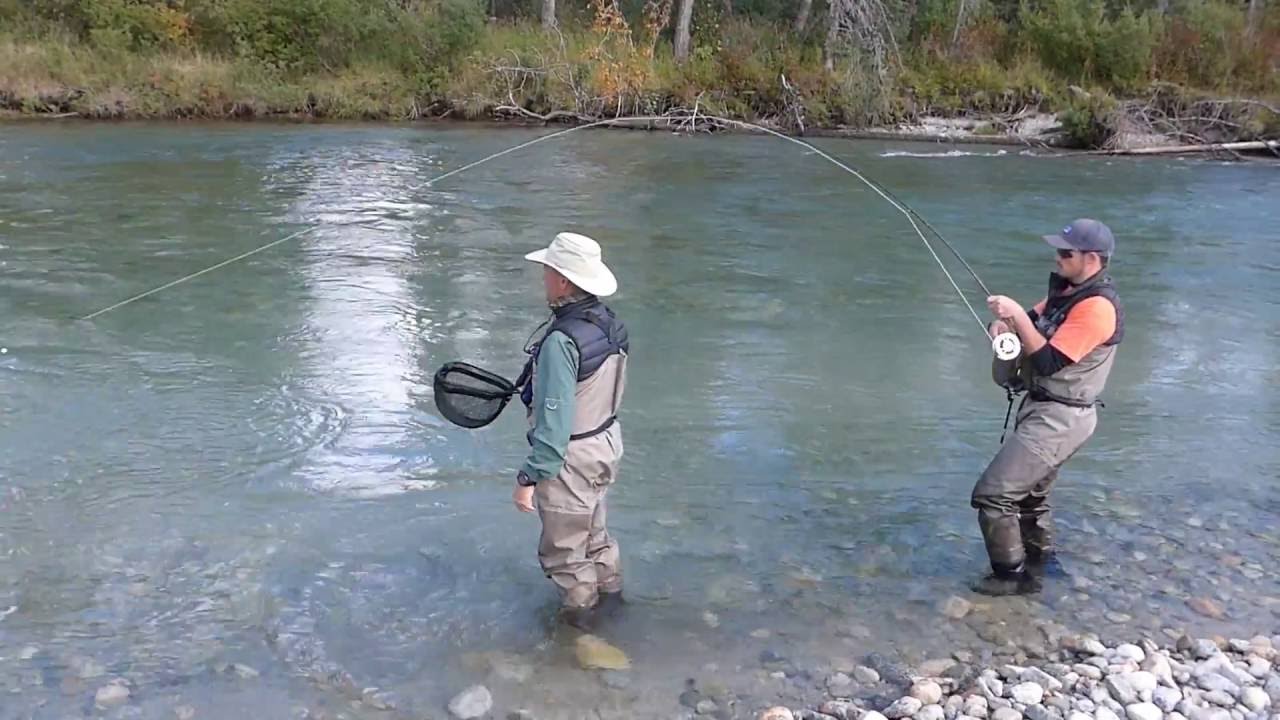 Giant Arctic Char in Southwest Alaska - YouTube