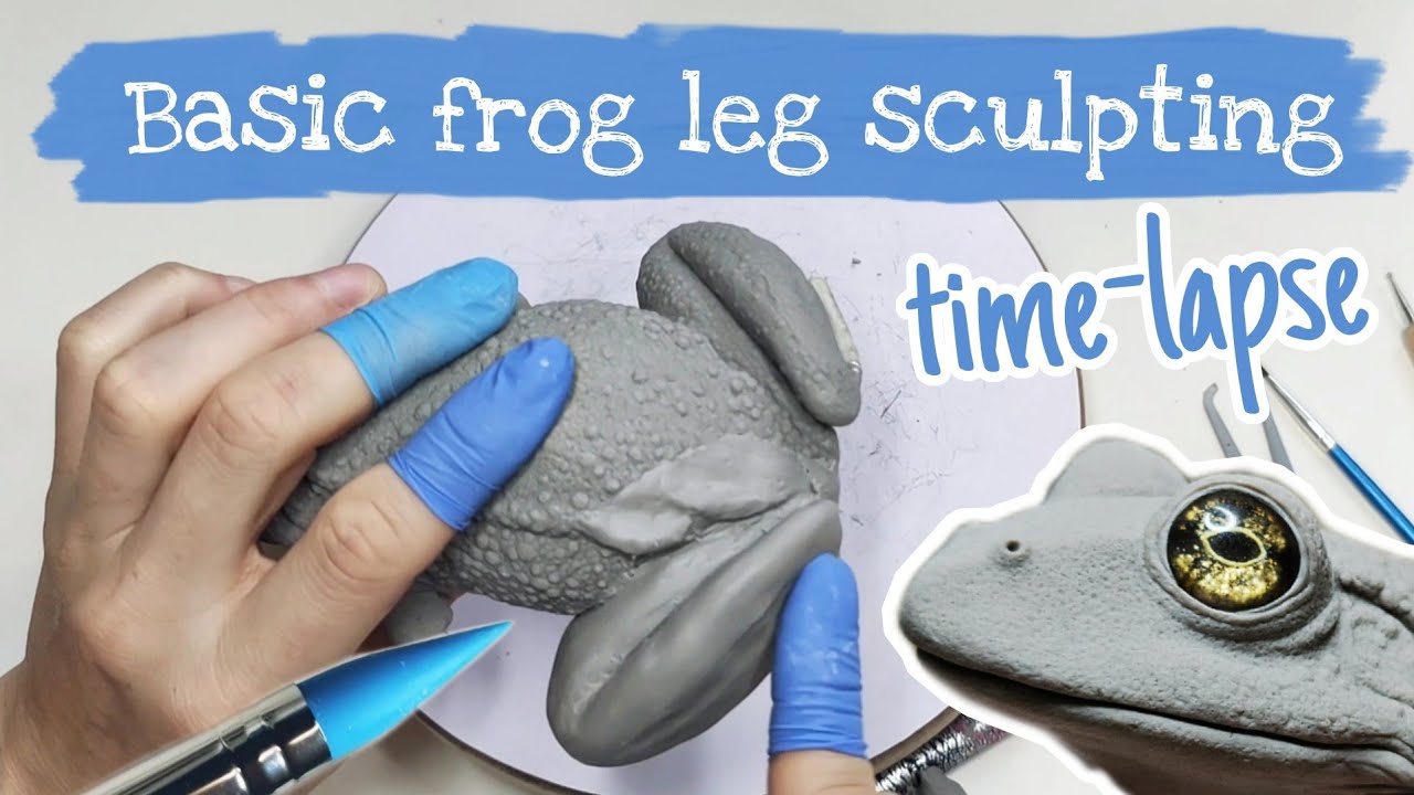 Sculpting a Basic Frog Leg || time-lapse - YouTube