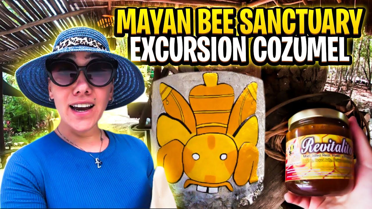 Mayan Bee Sanctuary Excursion Cozumel Mexico Full Tour | Mayan Honey ...