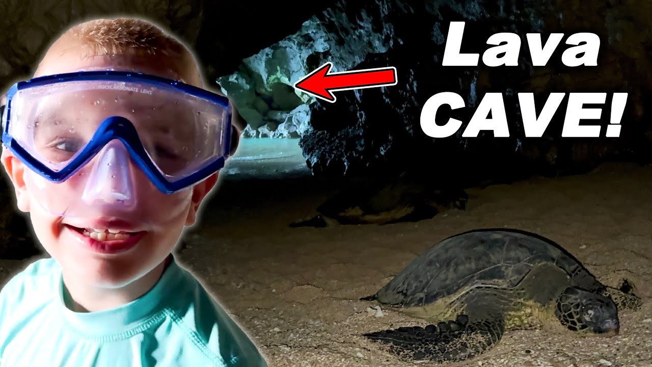 Found Turtles In A Cave! - YouTube