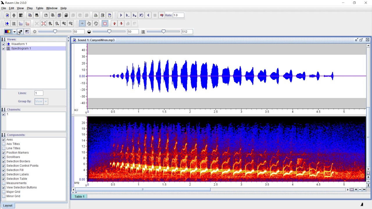 02 Raven lite開啟檔案和View介紹 - YouTube