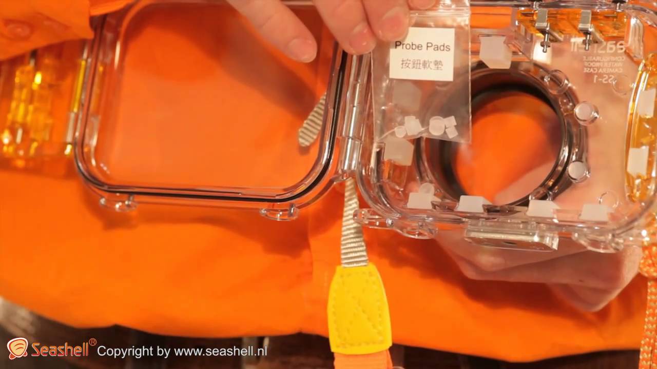 Seashell instruction video - YouTube