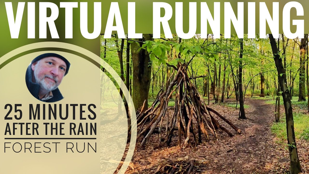Virtual Run 4k | Forest Trail Running | Virtual Running Videos for ...