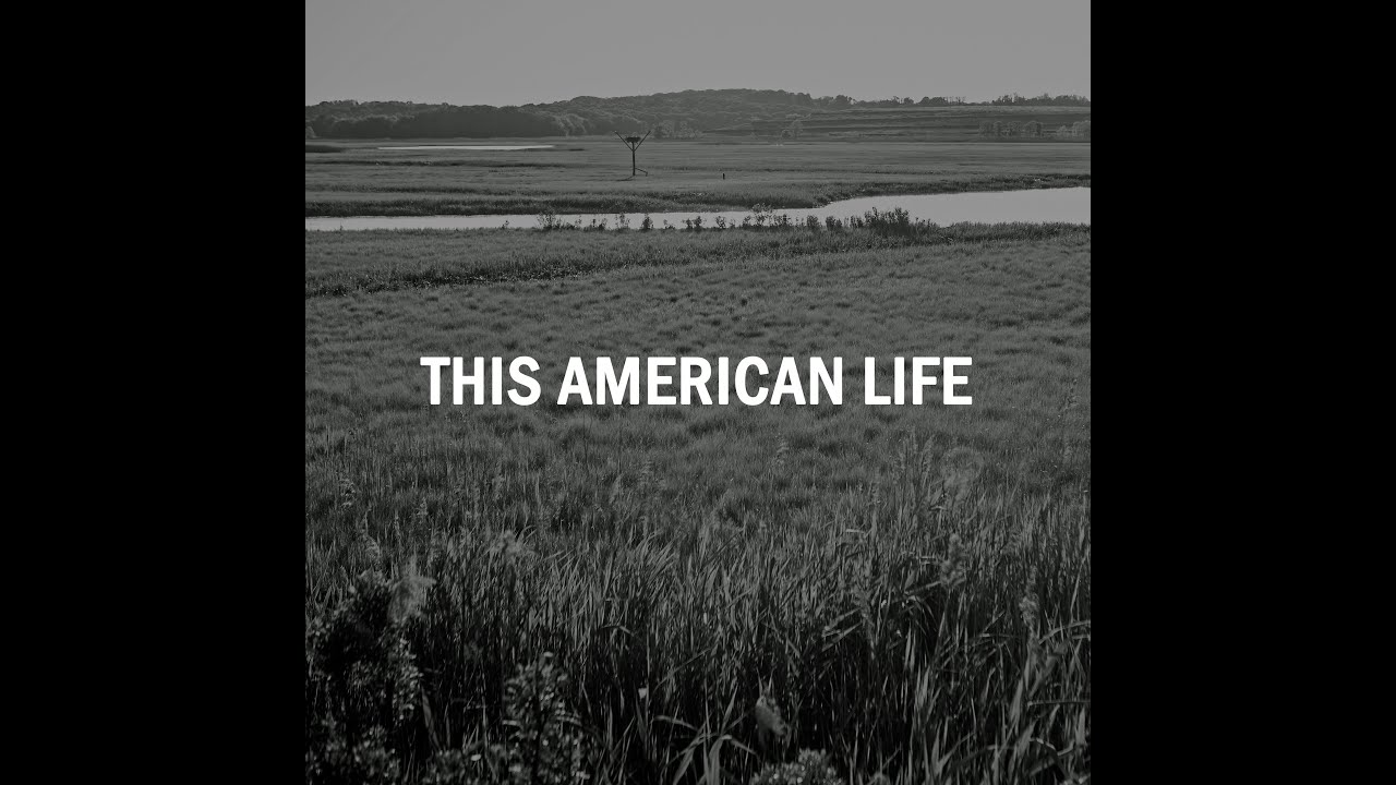 This American Life Official Music Video - YouTube