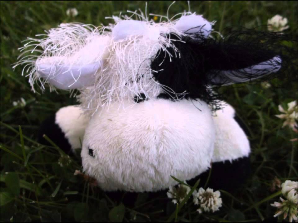 Webkinz Cow Photo Shoot - YouTube
