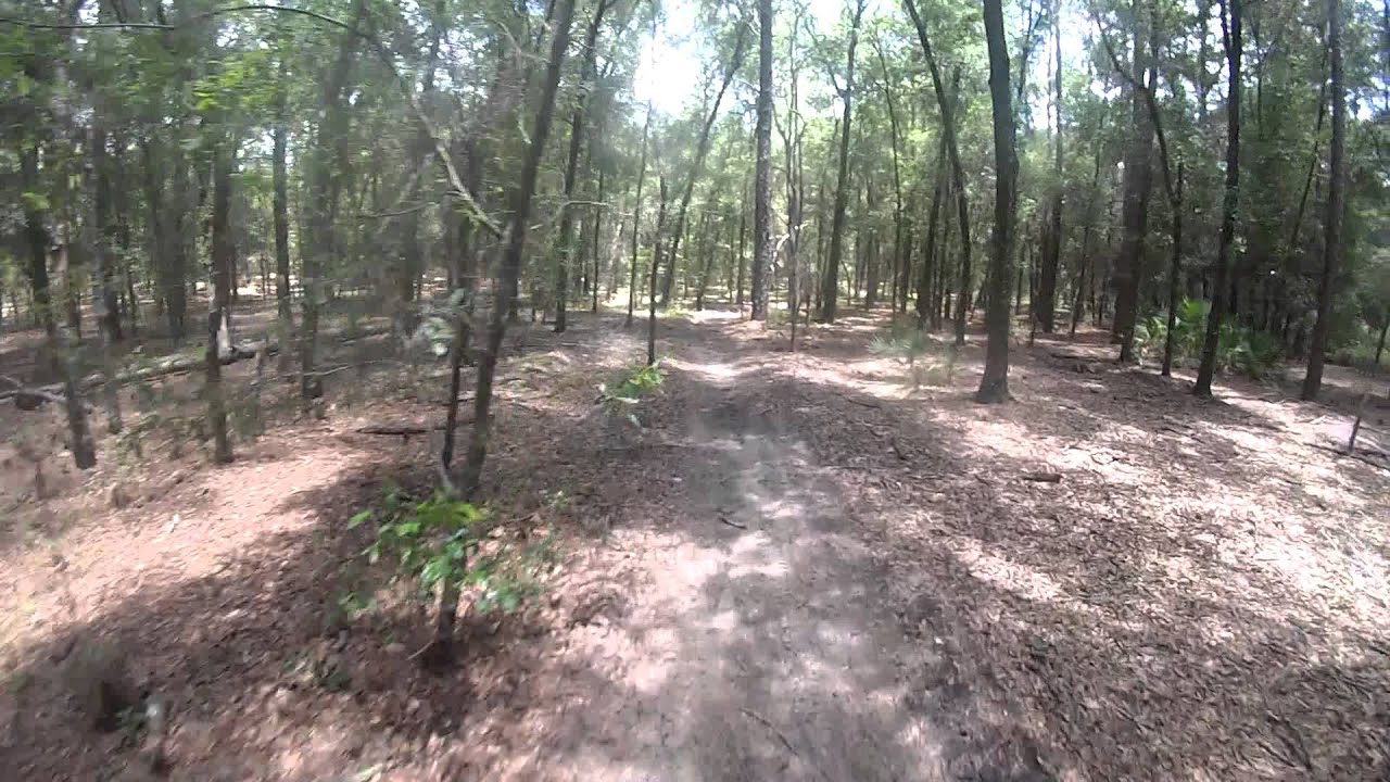 GoPro on Raptor 660 chasing a deer at Croom - YouTube