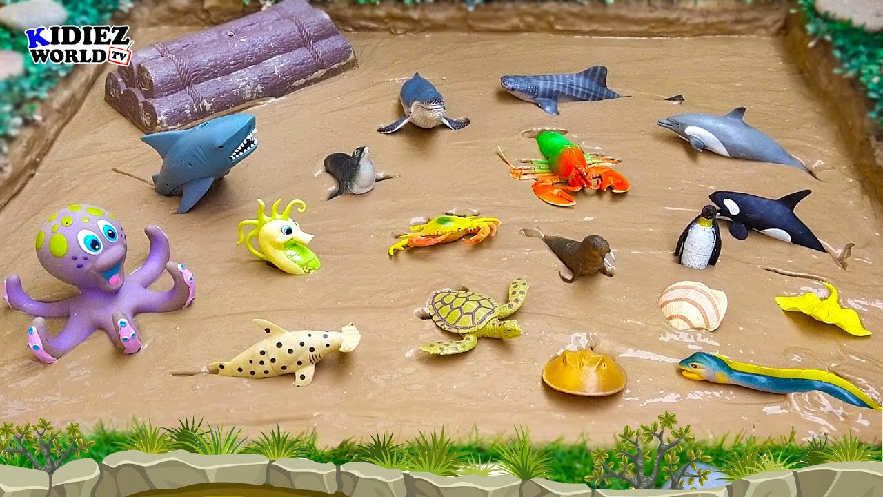 Learning Sea Animals for Kids | 18 Sea Creatures Name and Sound ...
