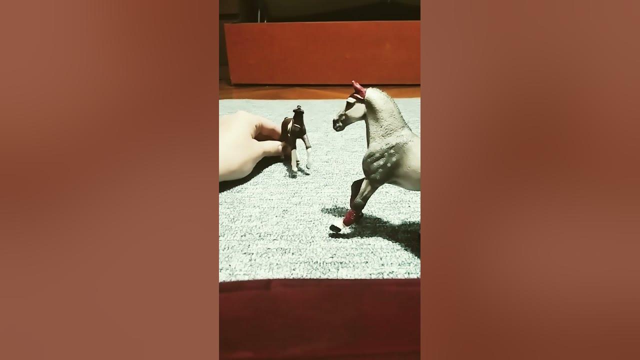 𝓽̌𝓾𝓴 𝓽̌𝓾𝓴 Vtipy Schleich Youtube