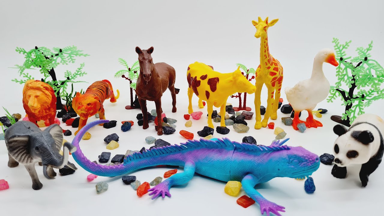 Watch all Animals Together in One Place for Kids and Toddlers - YouTube