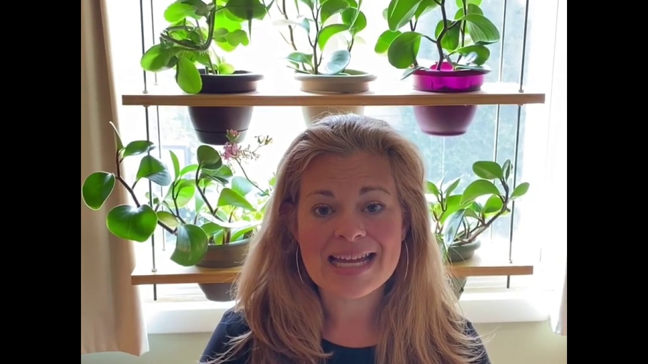 A Message from Jill Wood to the Penn State Liberal Arts Class of 2020 ...