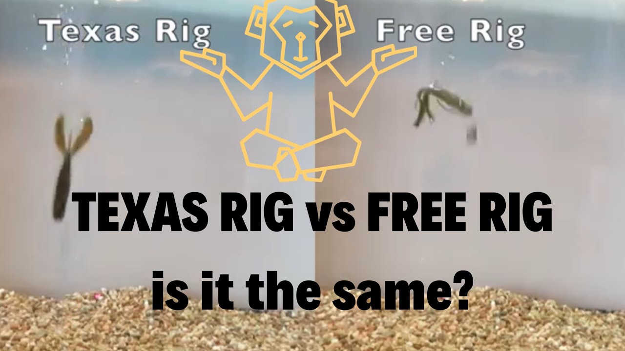 Free Rig vs Texas Rig UNDERWATER TEST - YouTube