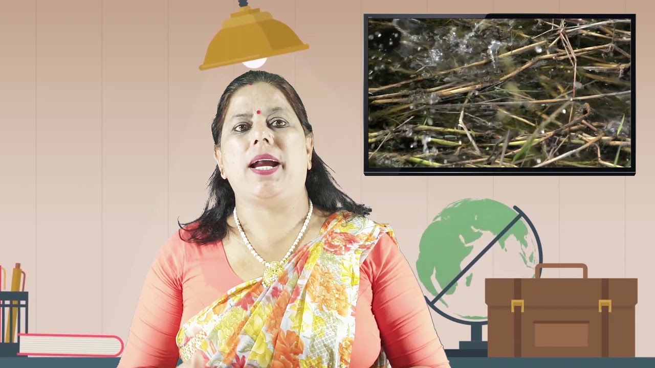 Class two Bhyaguta ko Daud - YouTube