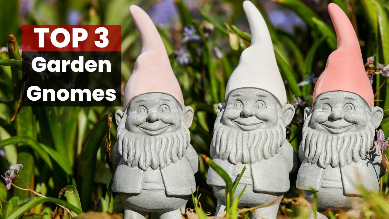 Discover the Best Garden Gnomes to Brighten Up Your Outdoor Space - YouTube