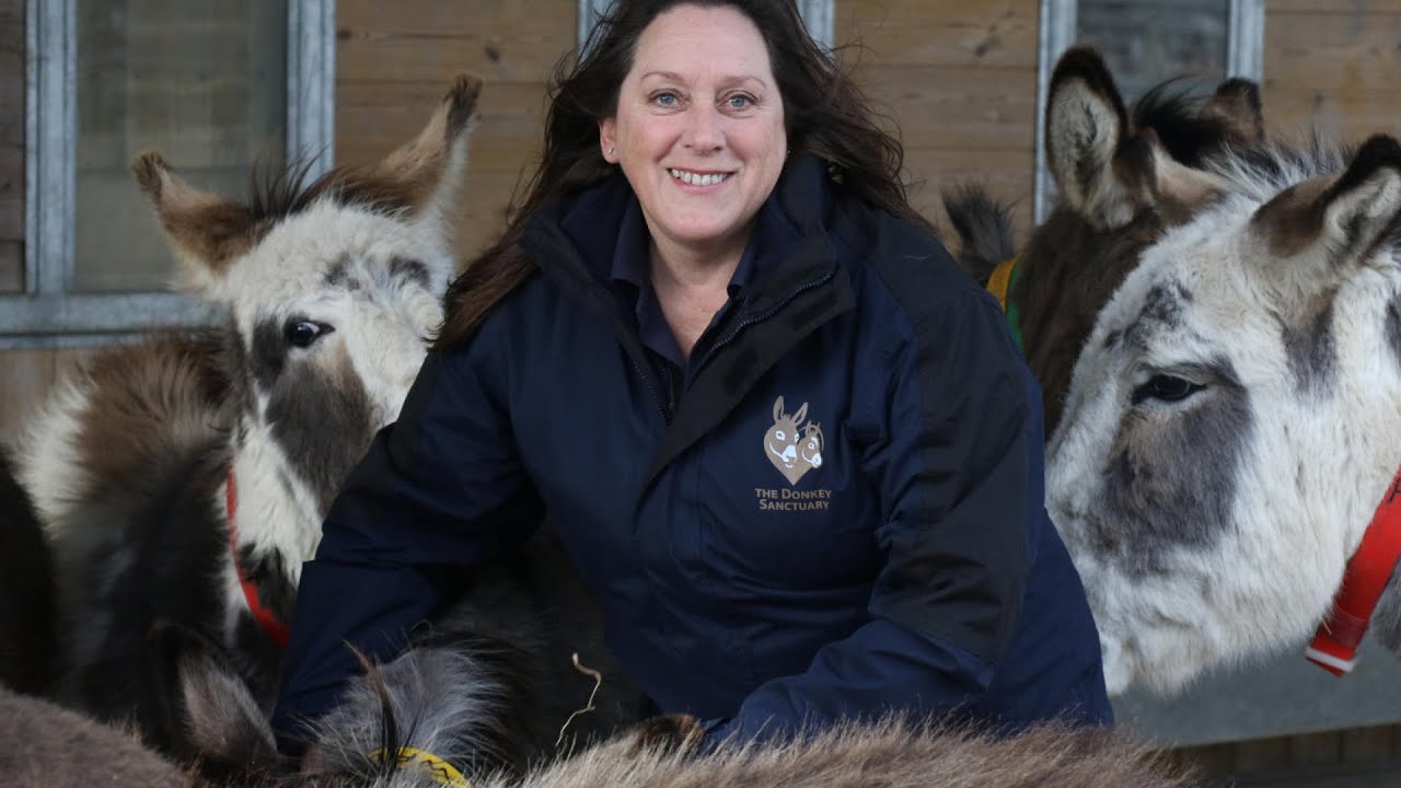 Donkeys in our care with Annie Brown | Virtual Donkey Week 2021 - YouTube