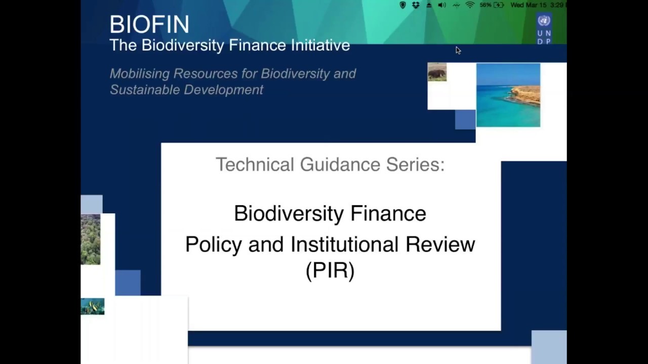 BIOFIN Webinar - Policy and Institutional Review (PIR) - March 2017 ...