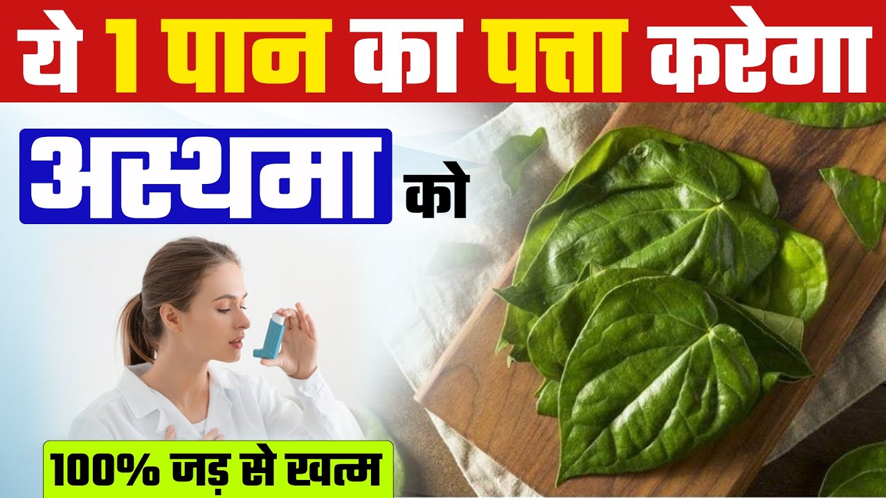 अस्थमा में पान के पत्ते खाने के 3 चमत्कारी फायदे | pan ke patte ke ...