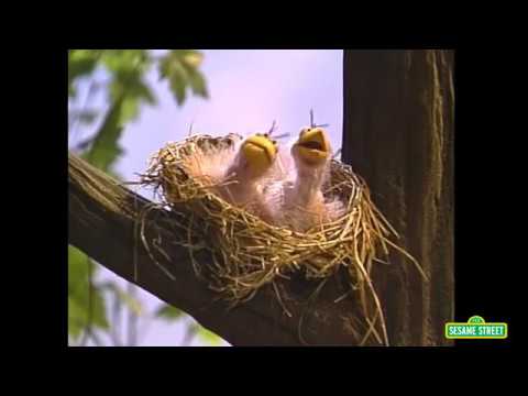 Classic Sesame Street - Elmo Sings About The Sounds That's In The Air ...