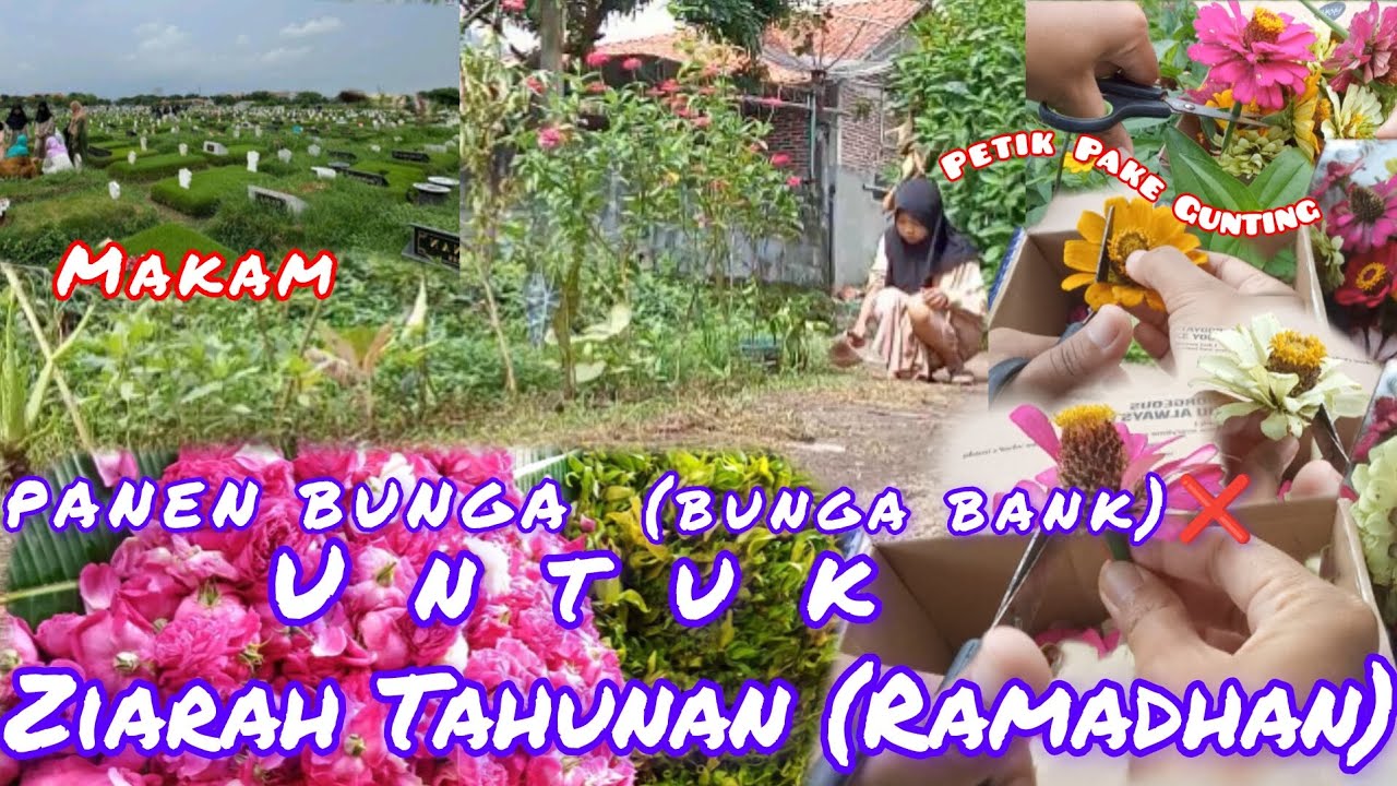 REST in PEACE || Untuk Jiwa" yang Tenang || Bunga Makam - YouTube