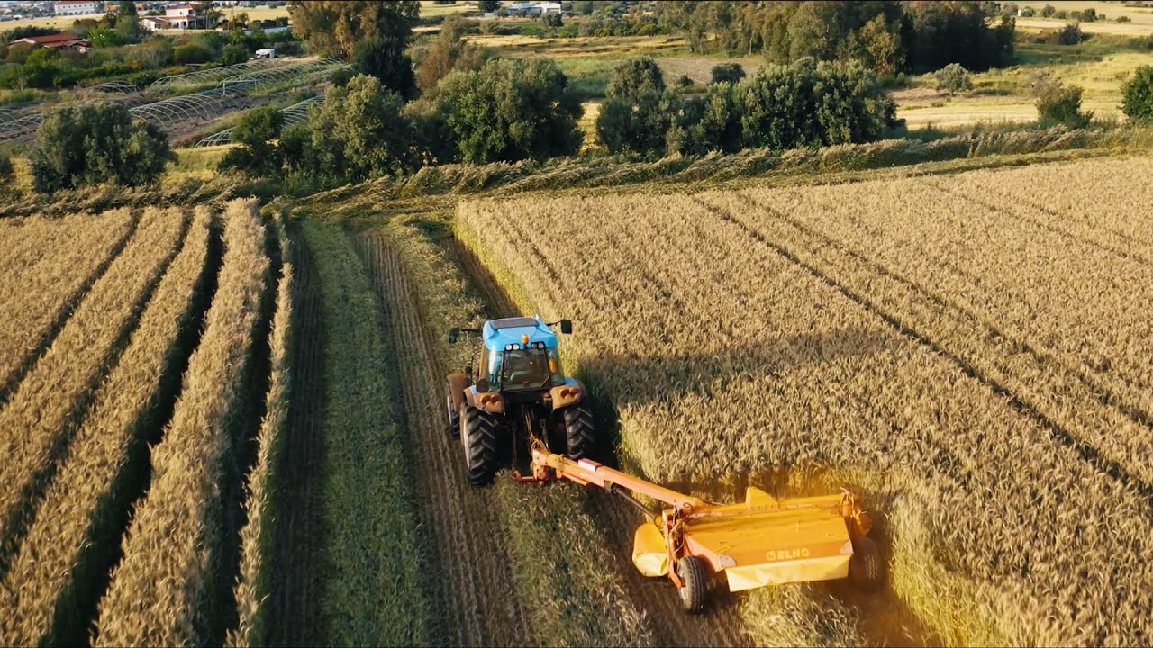 Mowing Hay in a beautiful field - YouTube