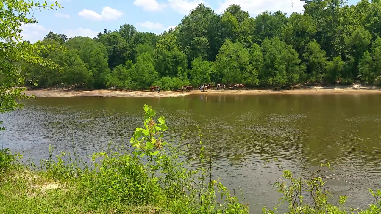 Horse riders on the river at Bluff Springs fl. - YouTube