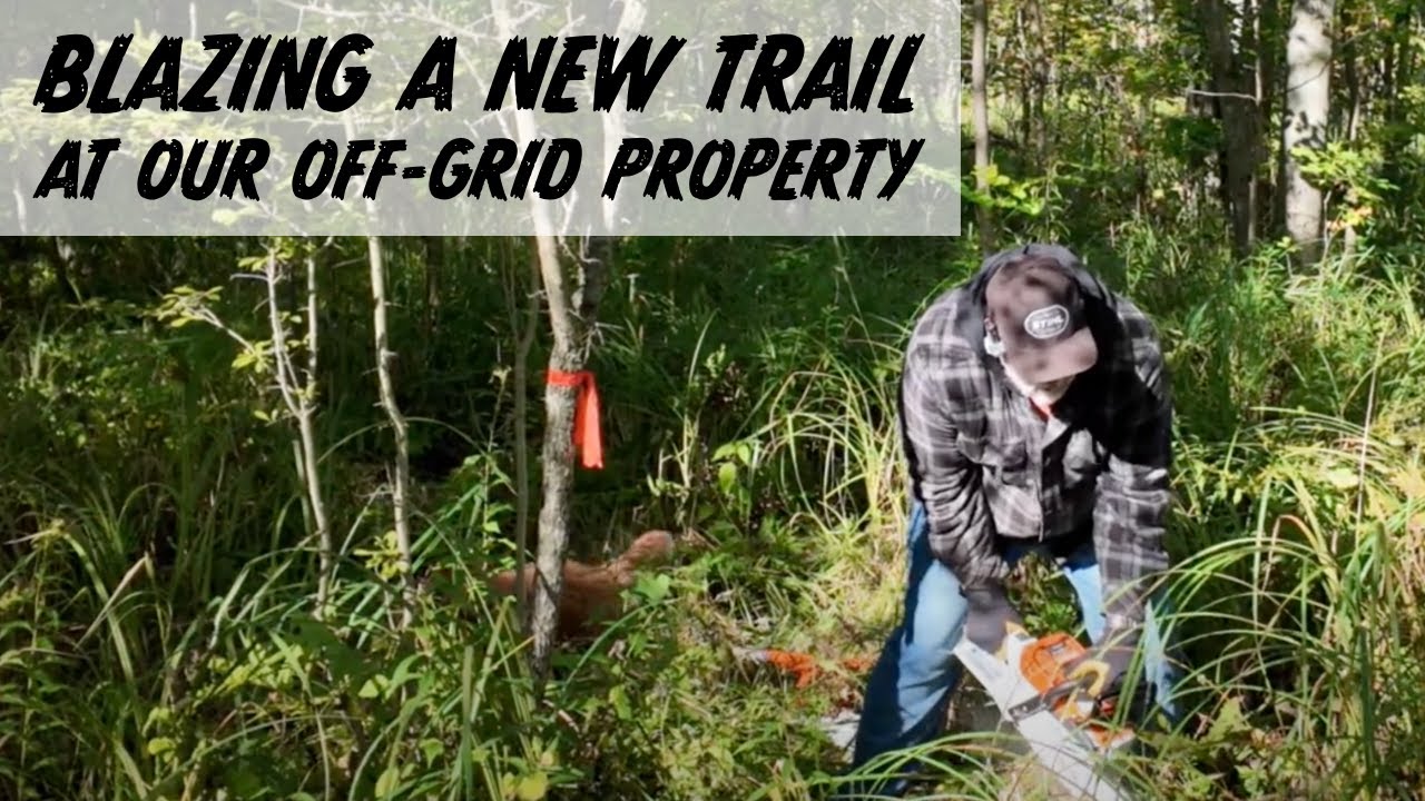 First use & impressions of the Log Ox forestry tool @LogOXUSA - YouTube