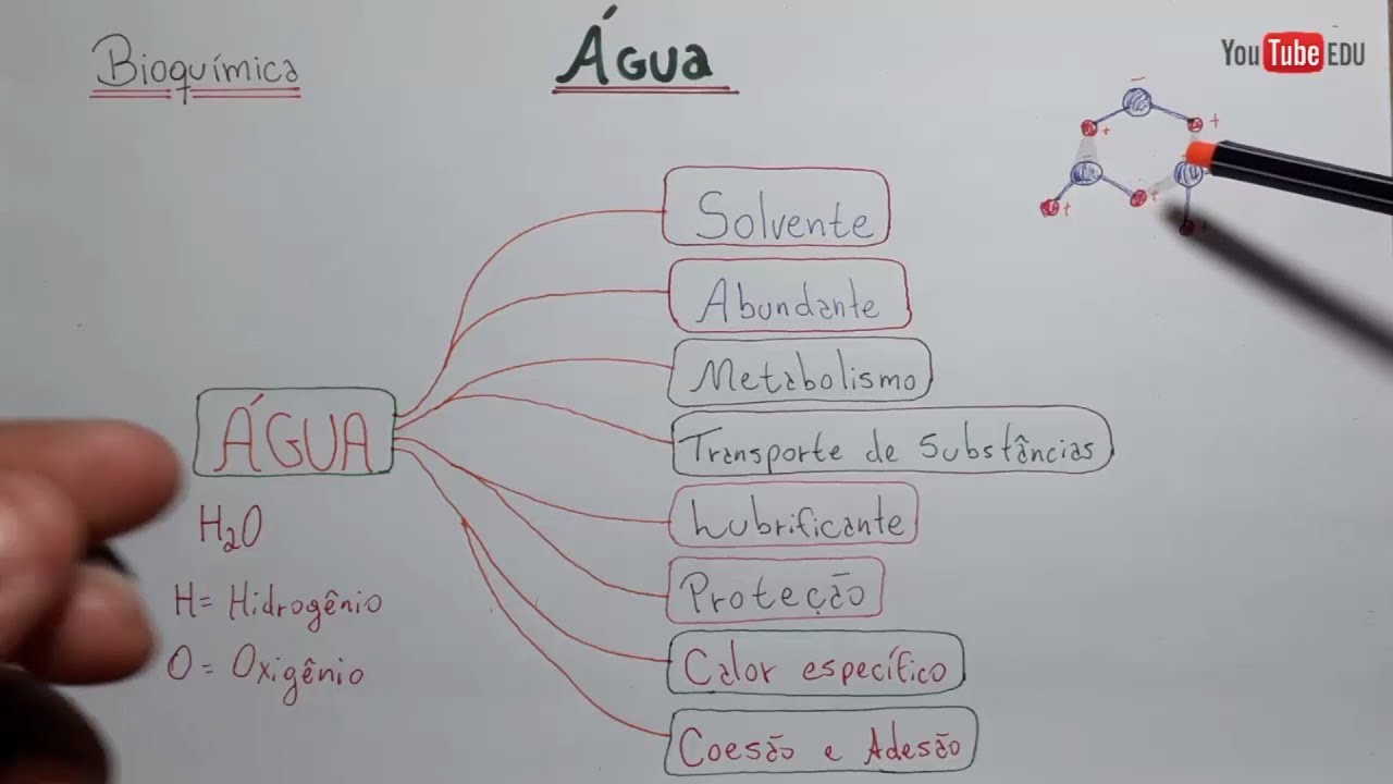 Água - Compostos INORGÂNICOS | Bioquímica - YouTube