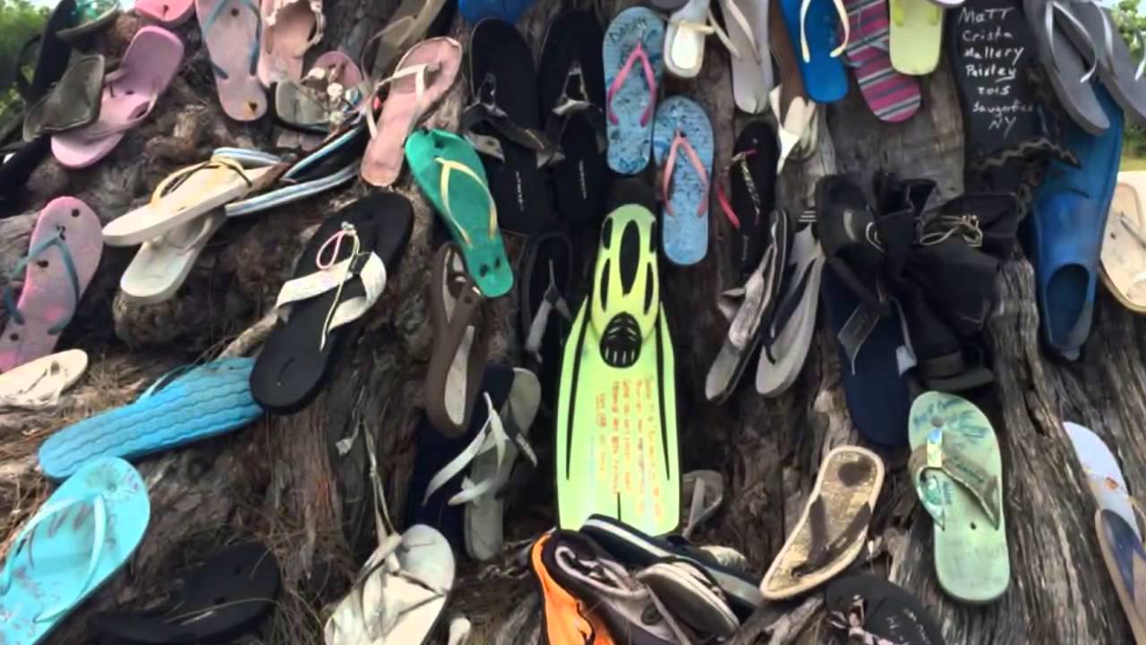 Flip Flop Tree :) Happy Times - YouTube