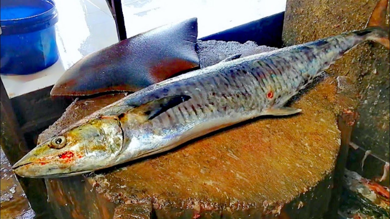 SEER FISH CUTTING VIDEOS | THORA | තොරා | சீர் மீன் | FISH CUTTING ...