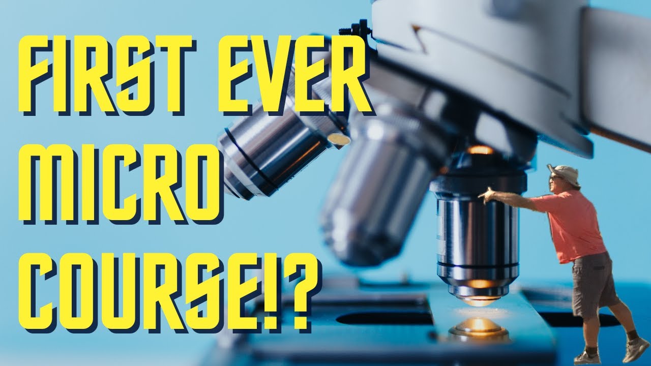 World's First Micro Disc Golf?? Overthrow Patrons' Ace Runs ...