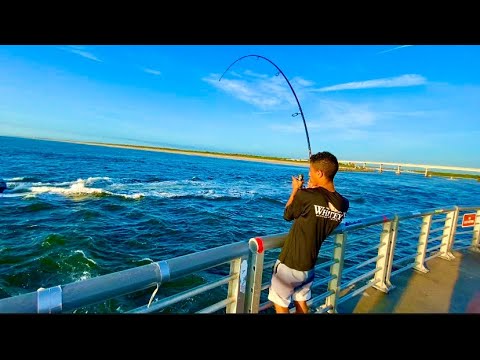 طلعة صيد وقت الشروق مع شرح أفضل واسرع طرق الصيد !!