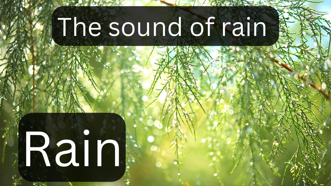 The sound of rain (Rain) - YouTube